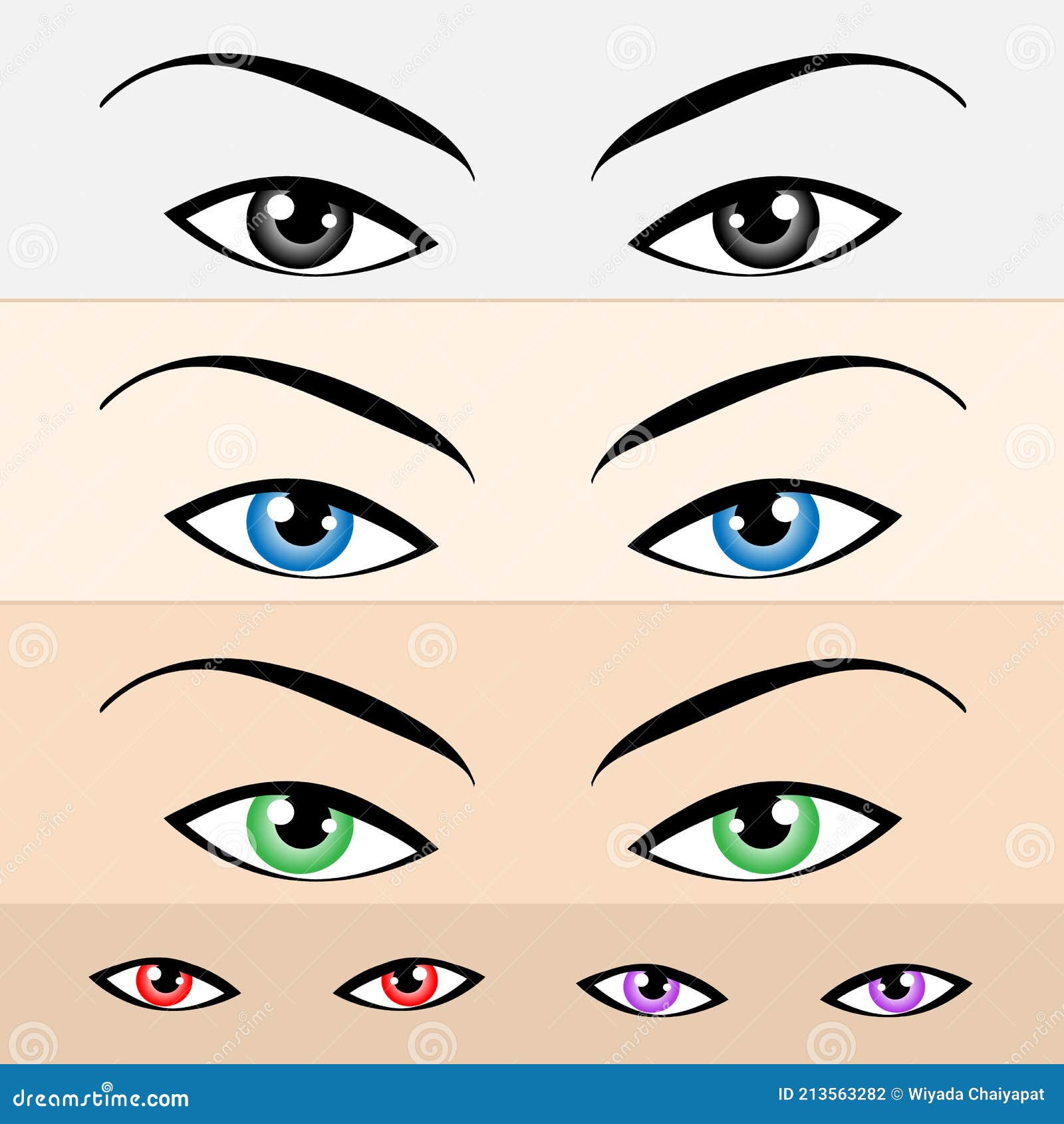 Multiple Colored Womens Eyes Set Stock Vector - Illustration of brown ...