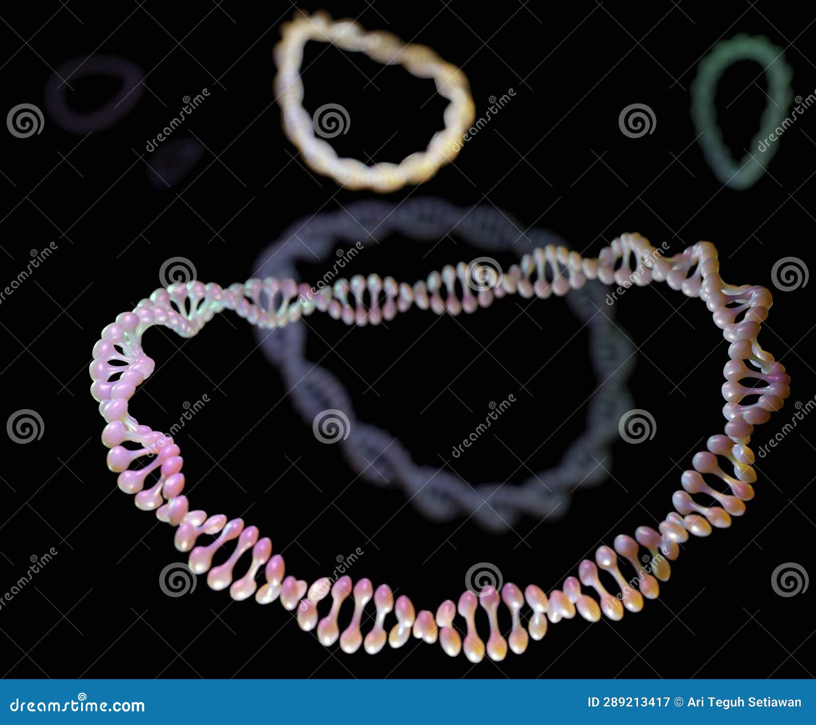 Multiple DNA Plasmids Inside of Bacteria 3d Rendering Stock ...
