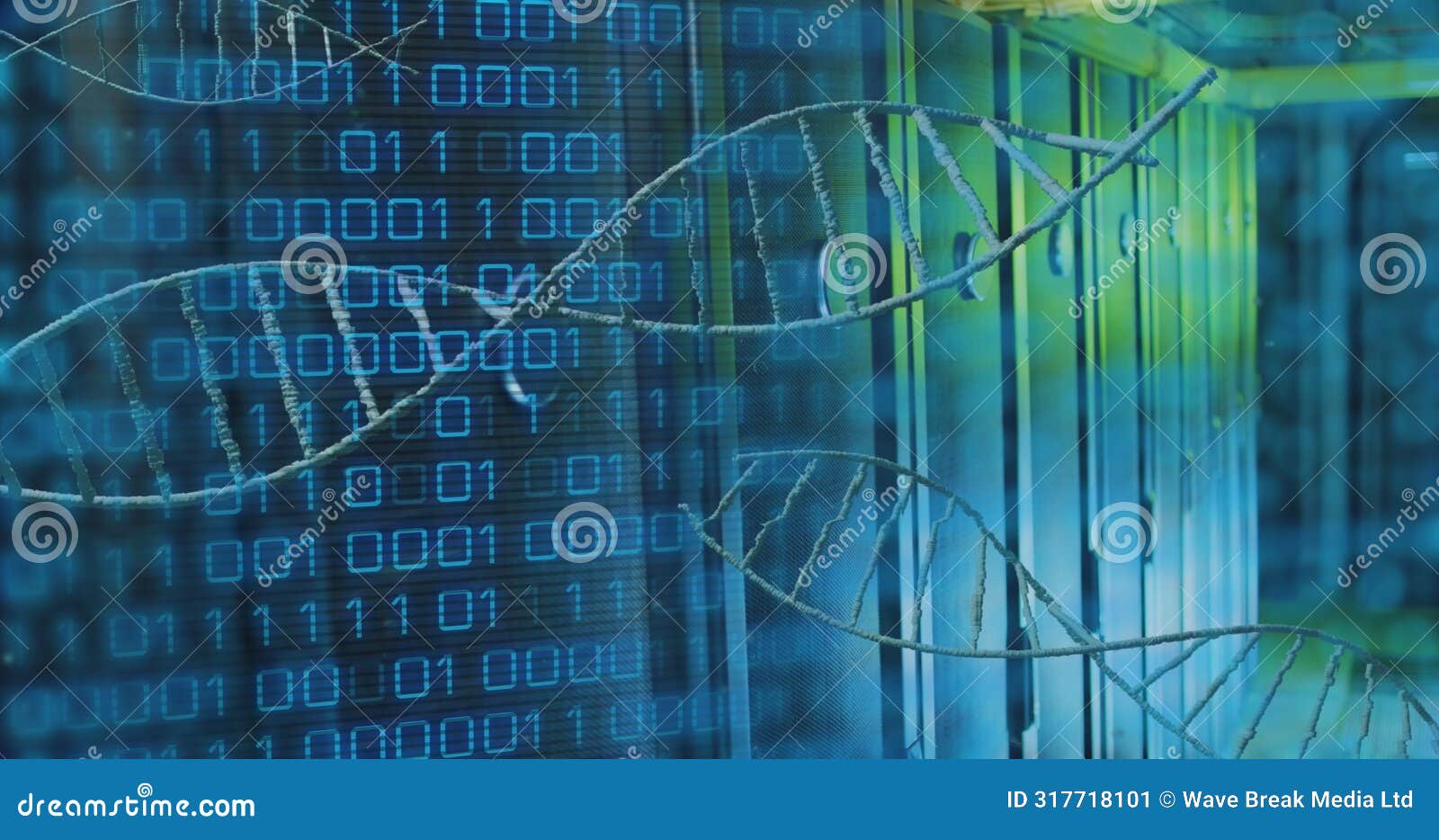 Multiple Dna Structure Spinning and Binary Coding Data Processing ... Multiple Dna Structure Spinning and Binary Coding Data Processing ...