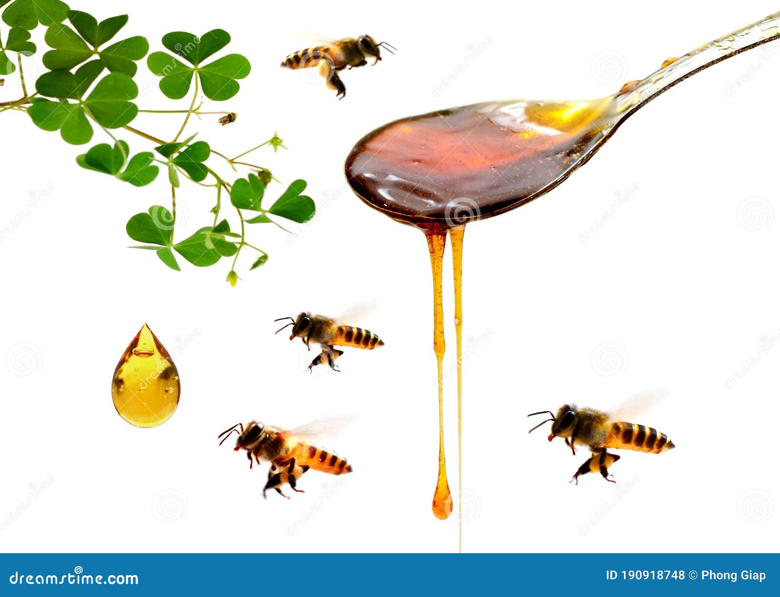 Multiple Drops of Honey String from Drizzler. Stock Photo - Image of ...