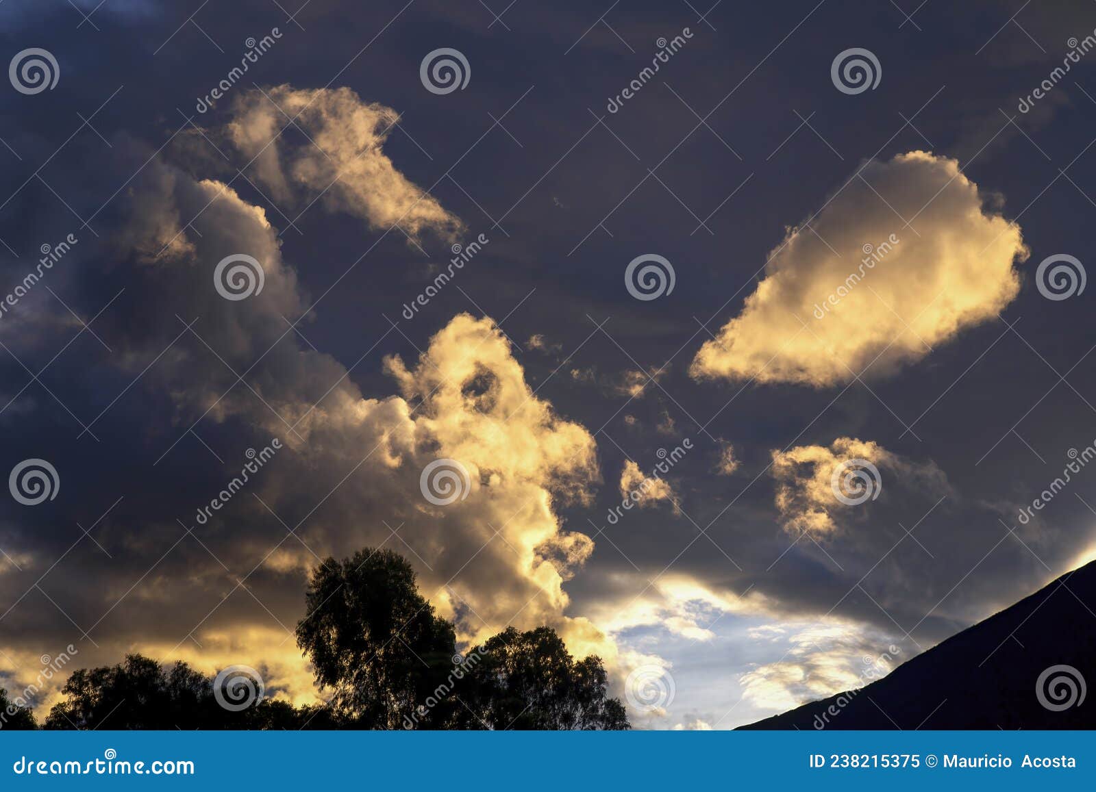 Composite Color Chart Collage Of A Large Variety Of Flowers And Stock ...