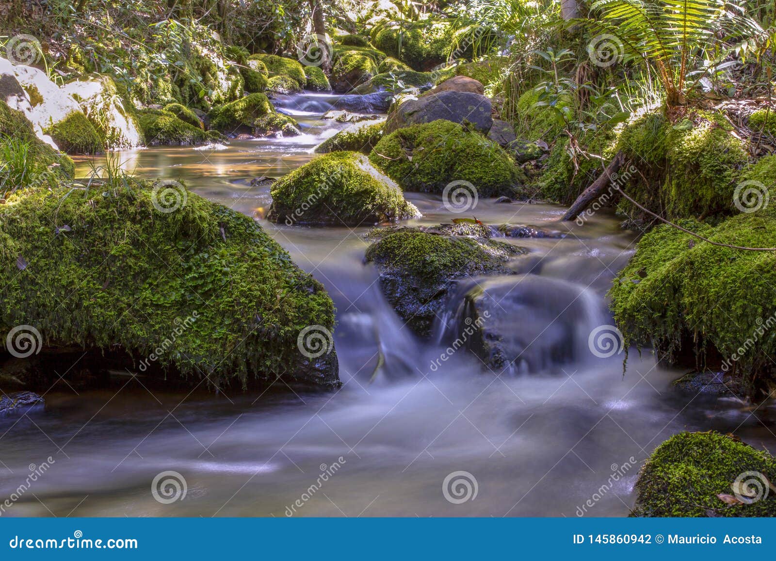 Multiple Exposure of Different Spots of a Ravine III Stock Photo ...