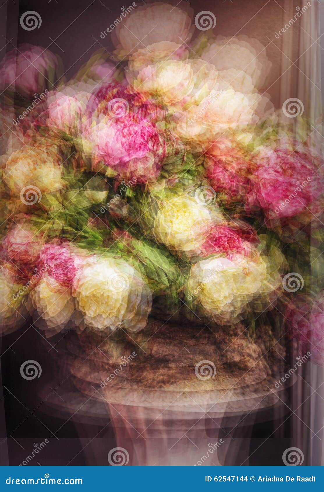 Multiple Exposure of Flowers Stock Photo - Image of blur, nature: 62547144