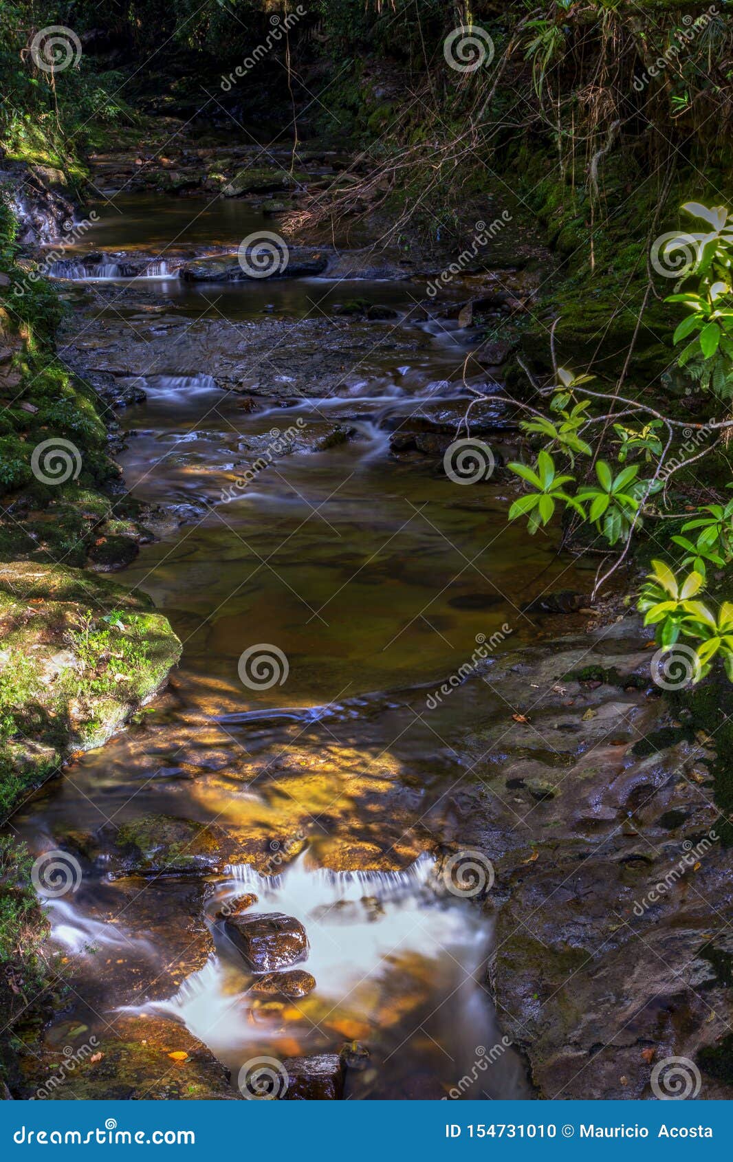 Multiple Exposure of the Stream of a River III Stock Photo - Image of ...