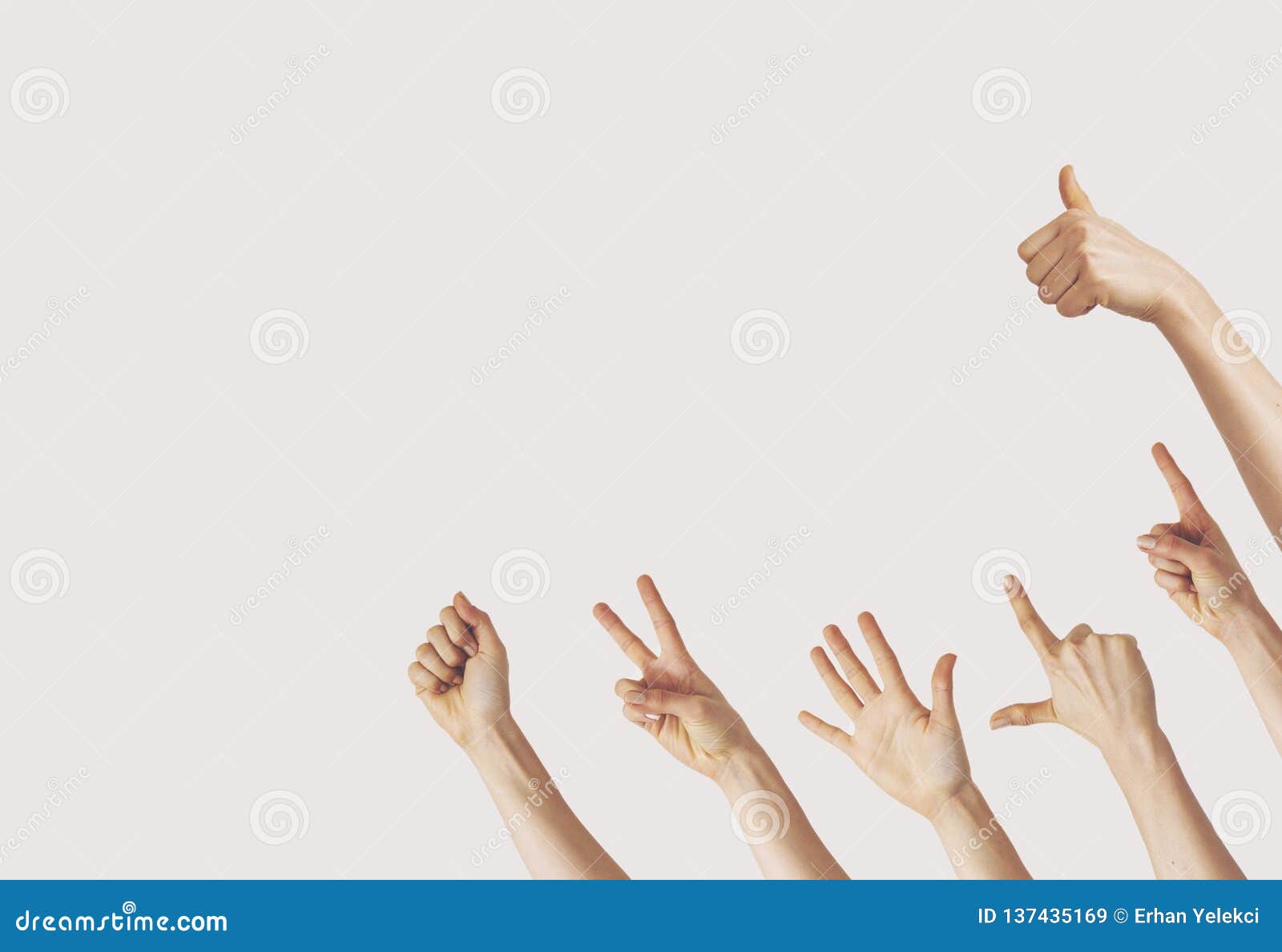 Multiple Female Hand Gestures on Gray Background Stock Image - Image of ...