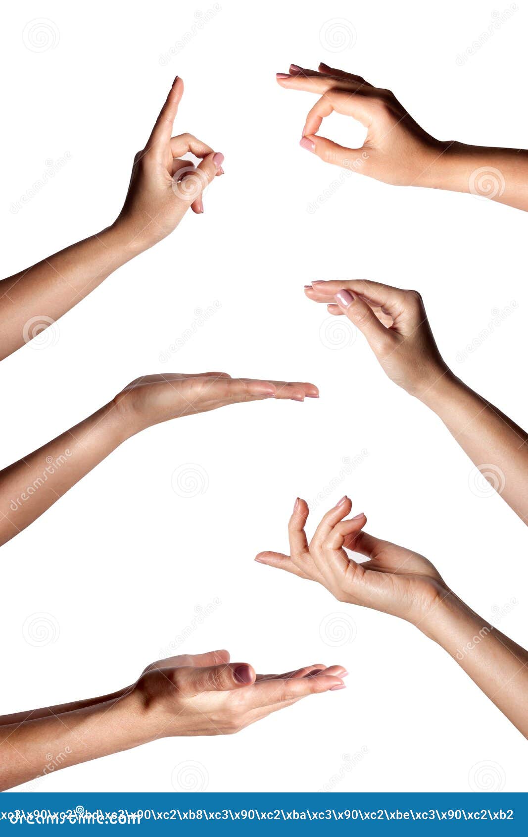 210 Multiple Hand Gestures Female Stock Photos - Free & Royalty-Free ...