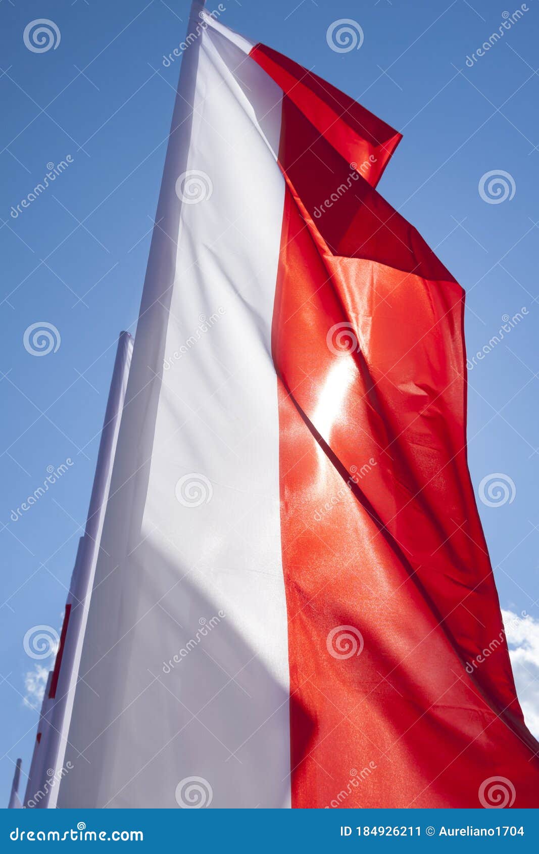 Multiple Flags of Poland Flying Against the Sky, Sunlit Stock Image ...