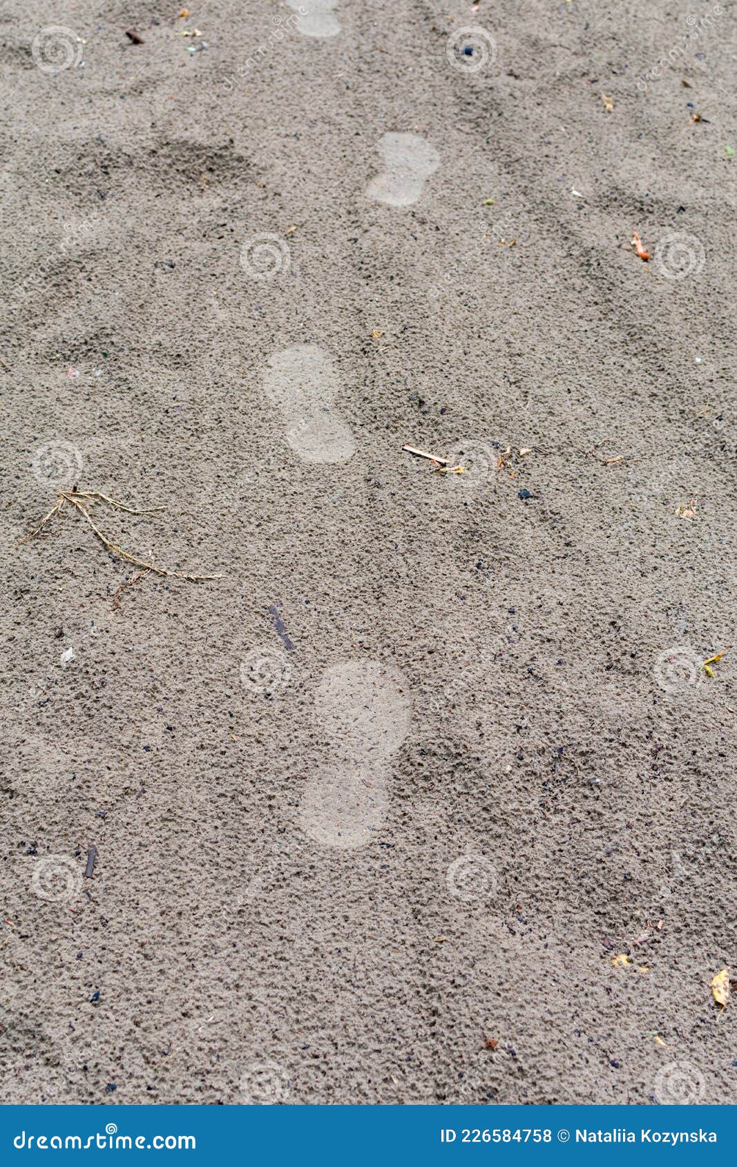 Multiple Footprints on Wet Sand after Rain. Footprints in the Wet Sand ...