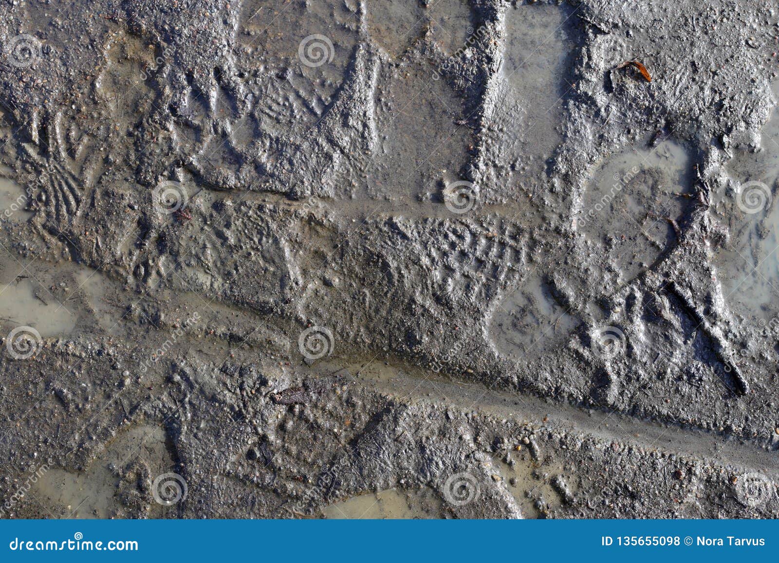 Multiple Human Footprints on a Wet Surface Stock Photo - Image of print ...