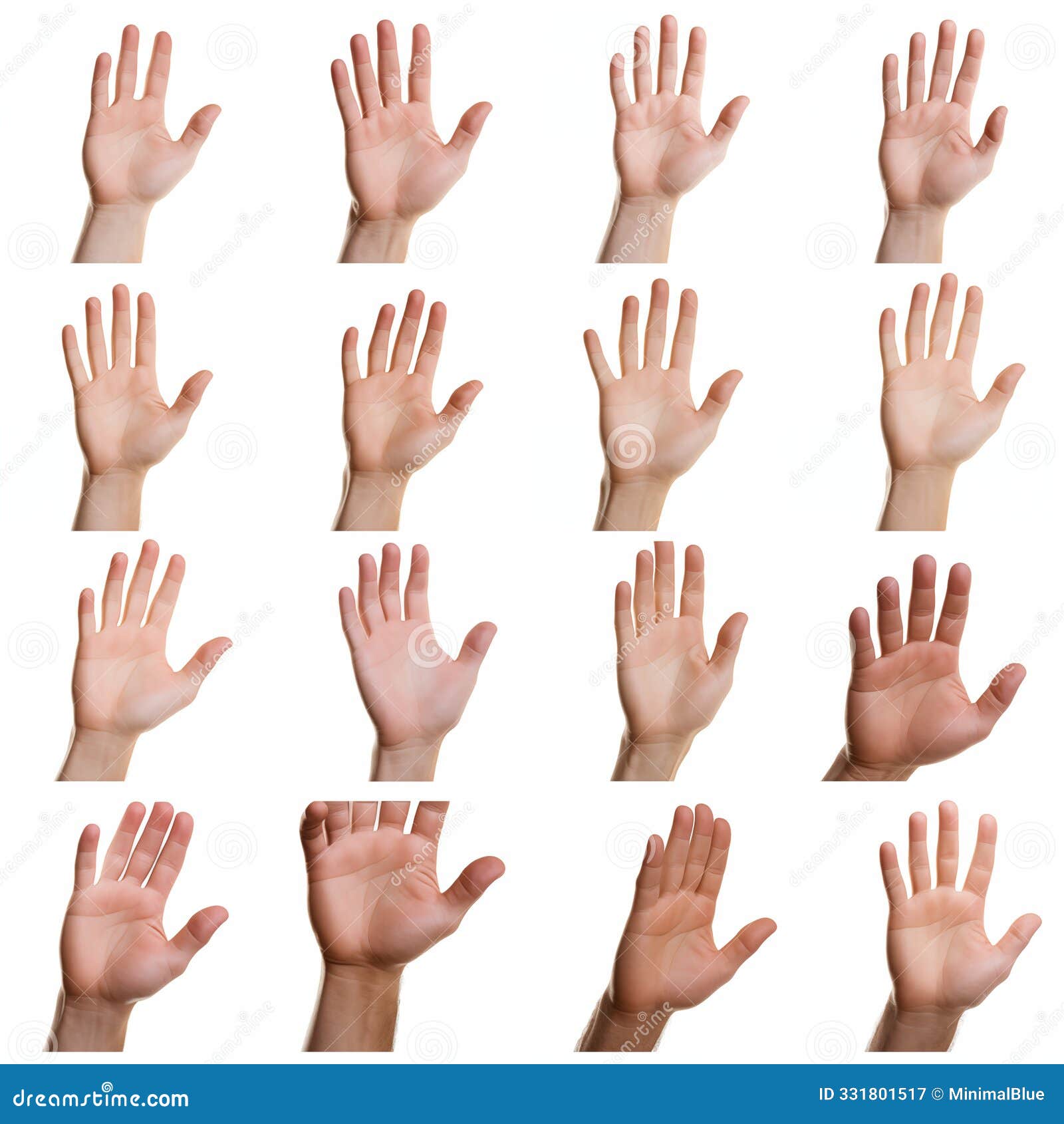 Multiple Human Hands Showing Different Gestures Isolated on White ...