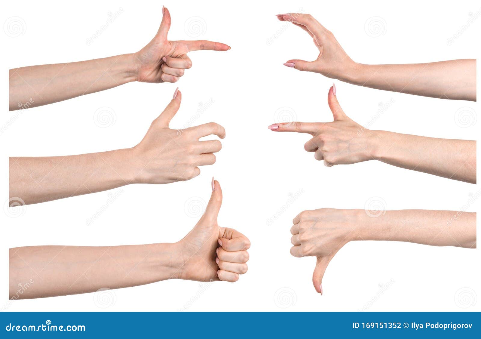Multiple Images Set Female Caucasian Hands Isolated White Background ... Multiple Images Set Female Caucasian Hands Isolated White Background ...