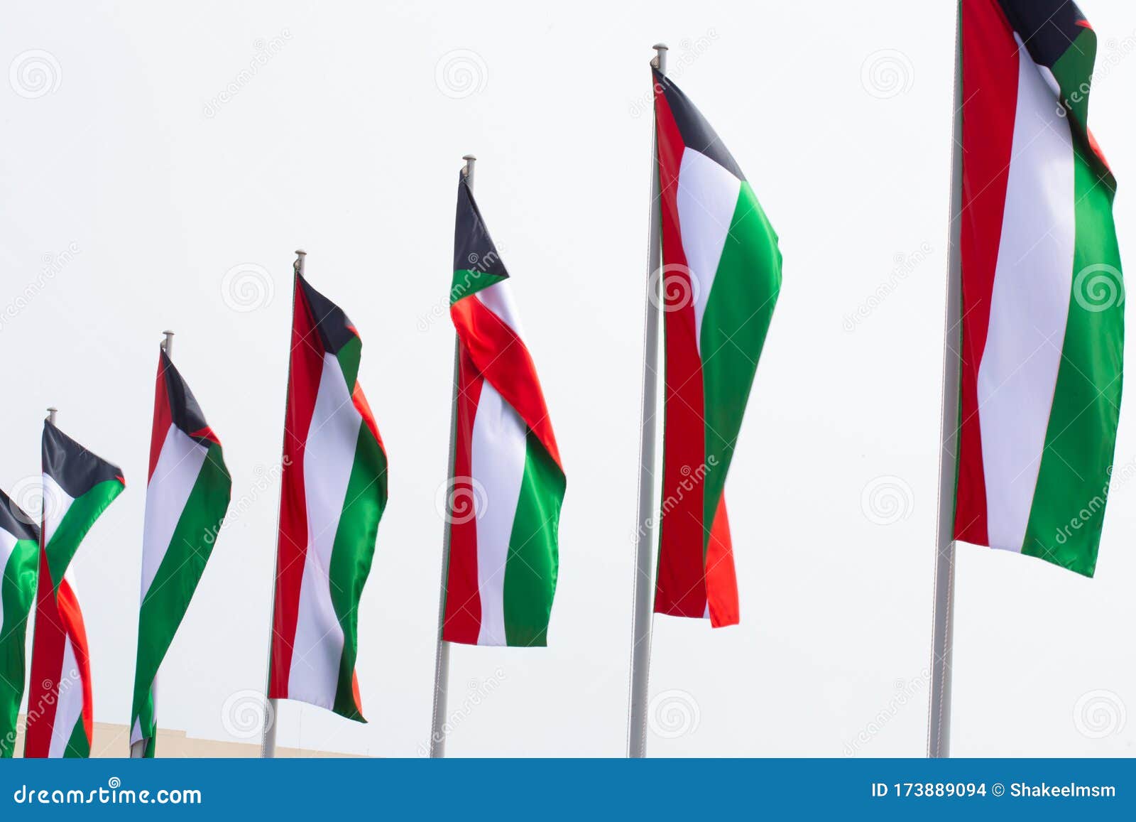 Multiple Kuwait National Flags Flying during the Day at a Event in ...