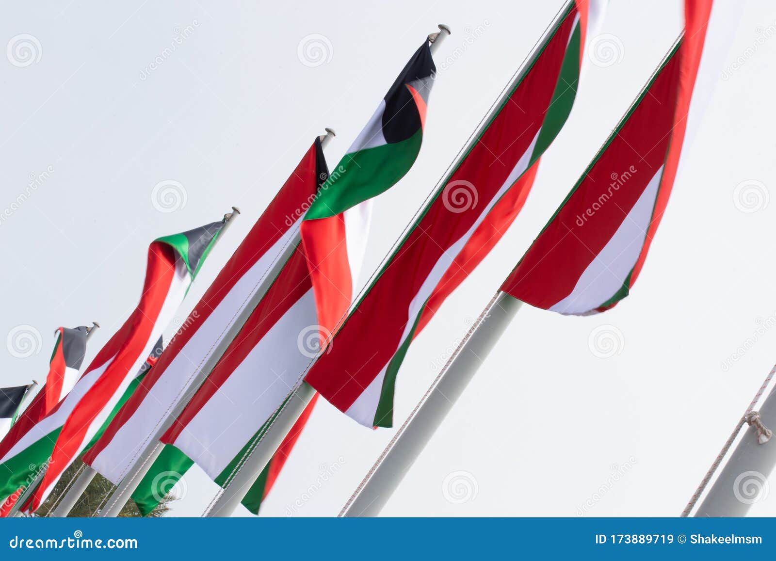 Multiple Kuwait National Flags Flying during the Day at a Event in ...