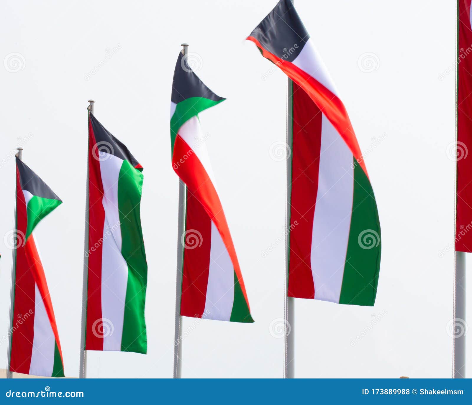 Multiple Kuwait National Flags Flying during the Day at a Event in ...