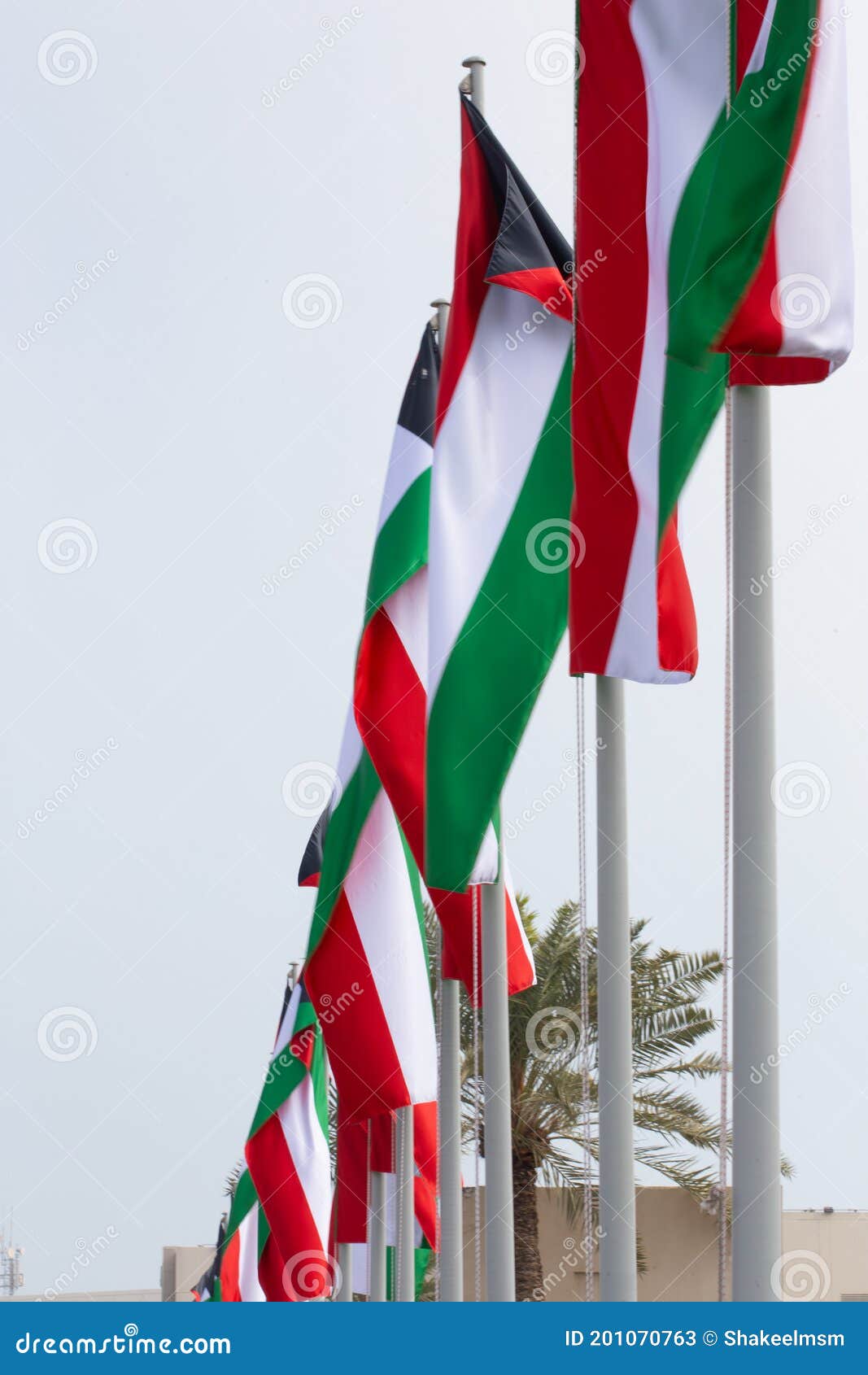 Multiple Kuwait National Flags Flying during the Day at a Event in ...