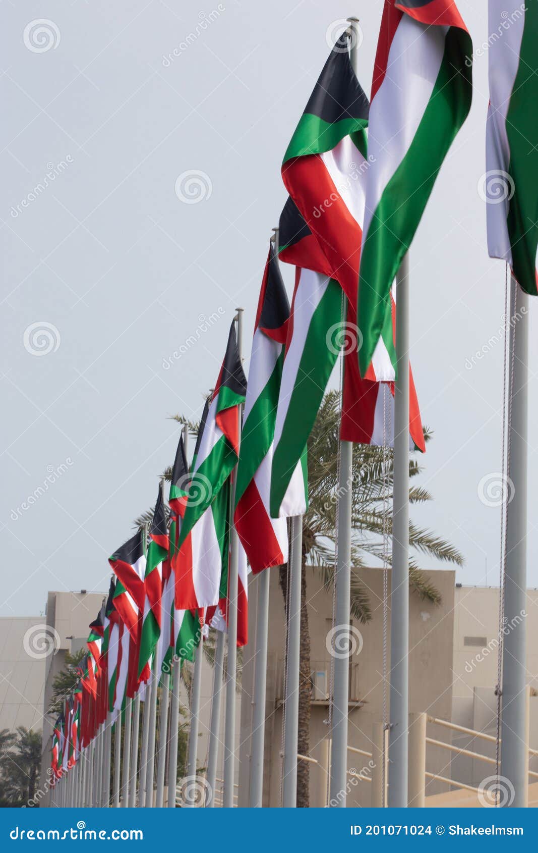 Multiple Kuwait National Flags Flying during the Day at a Event in ...