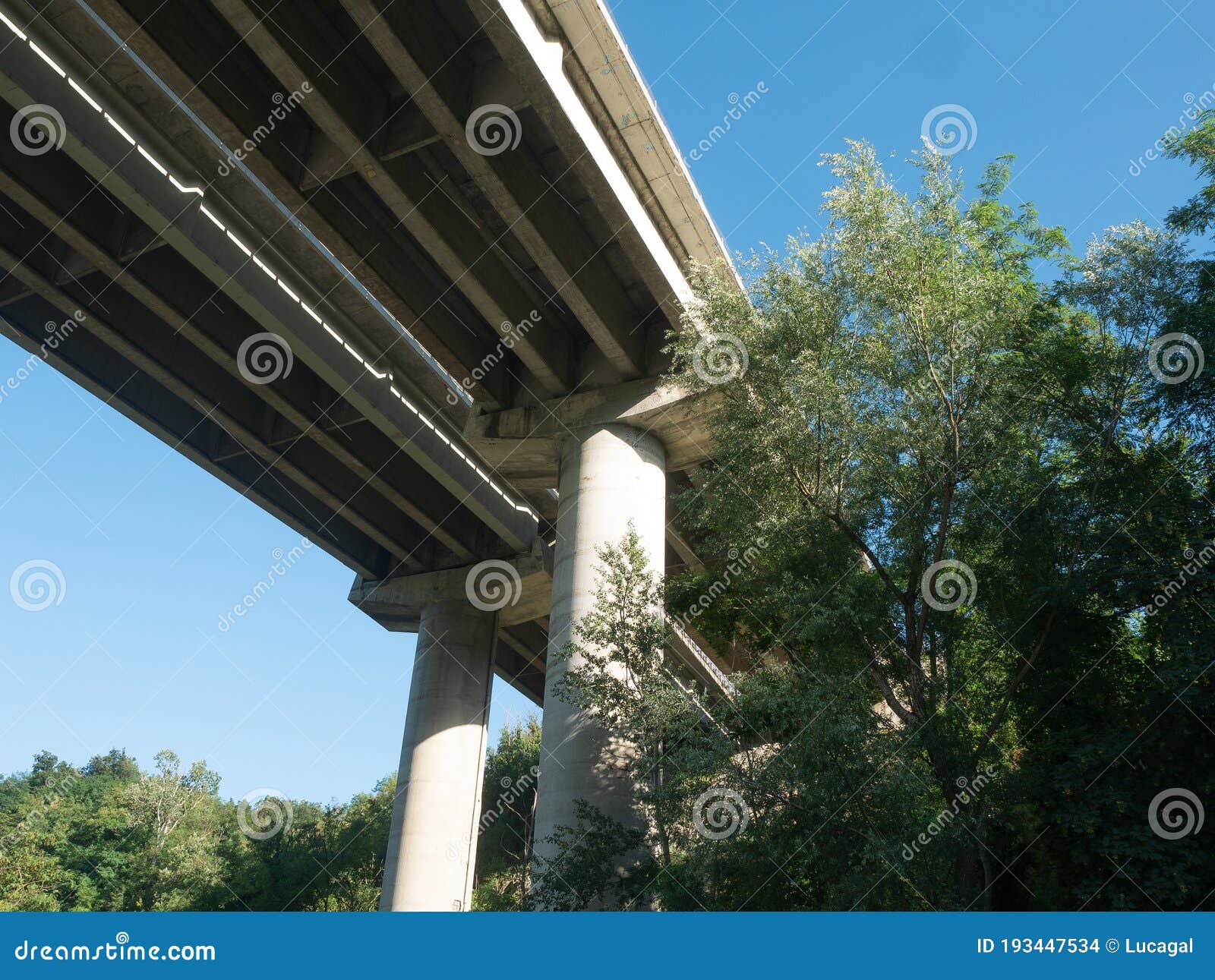 Multiple Lane Highway Bridge With Reinforced Concrete Columns. Bottom ...