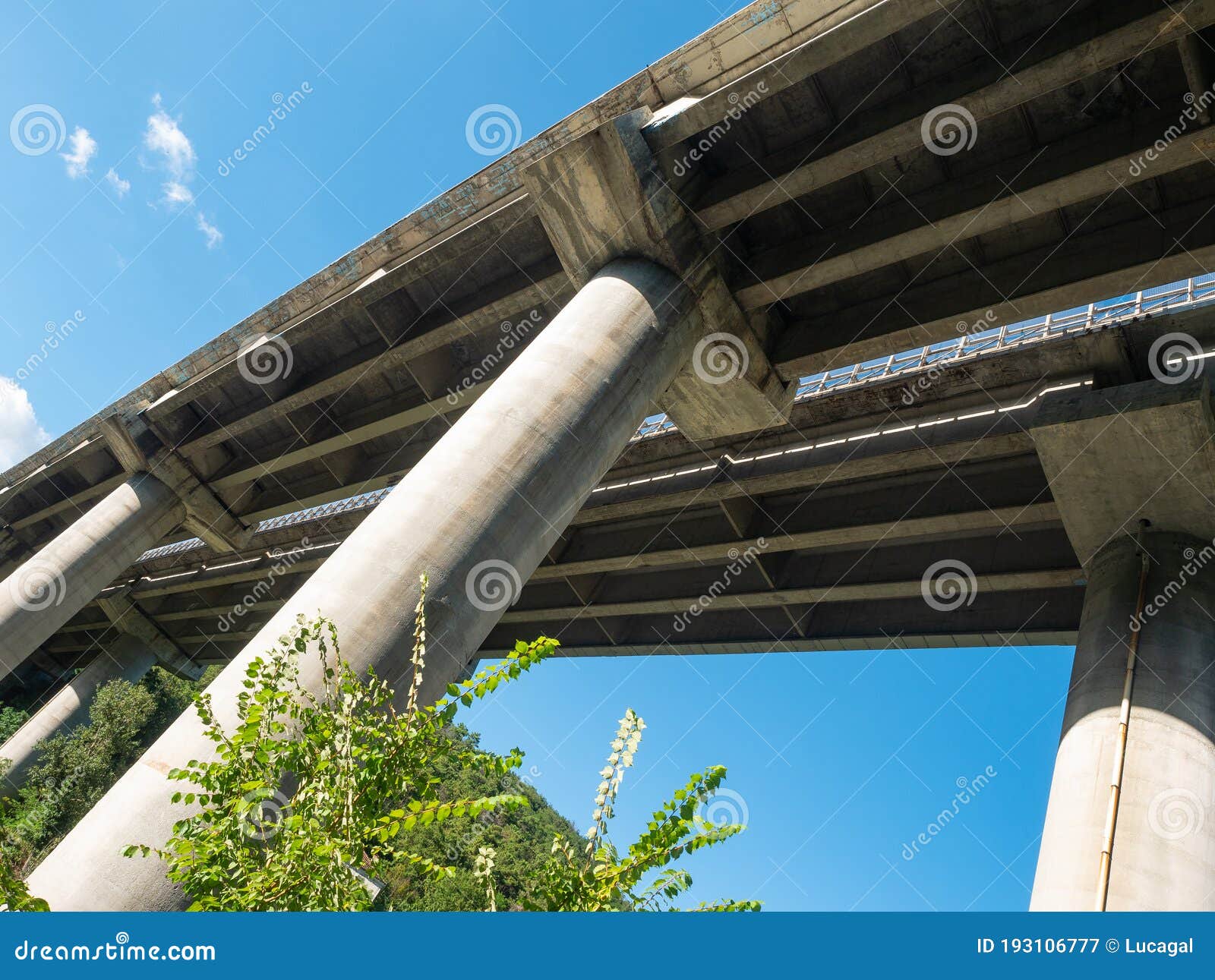 Multiple Lane Highway Bridge with Reinforced Concrete Columns. Bottom ...