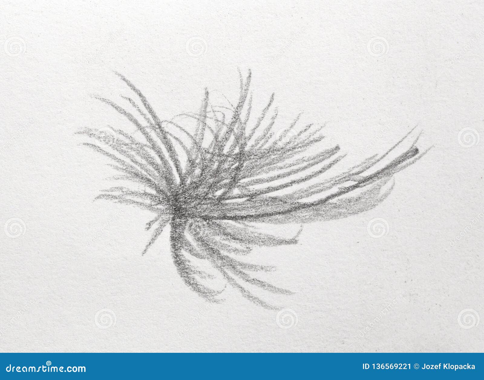 Multiple Linear Pencil Scratches on Blank Paper Surface. Stock Image ...