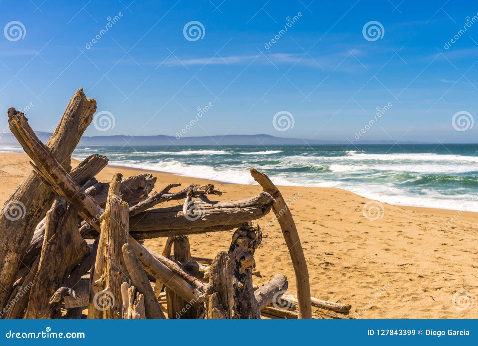 Multiple Logs on the beach stock image. Image of sand - 127843399