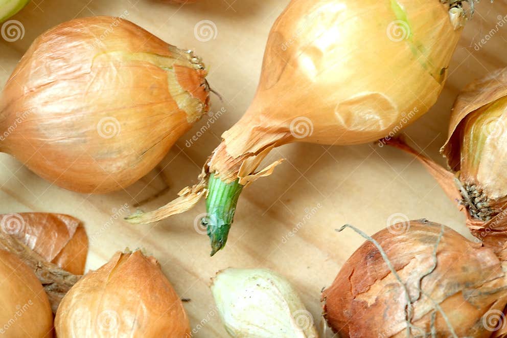 Bunch of onions on table stock photo. Image of farm - 319149062