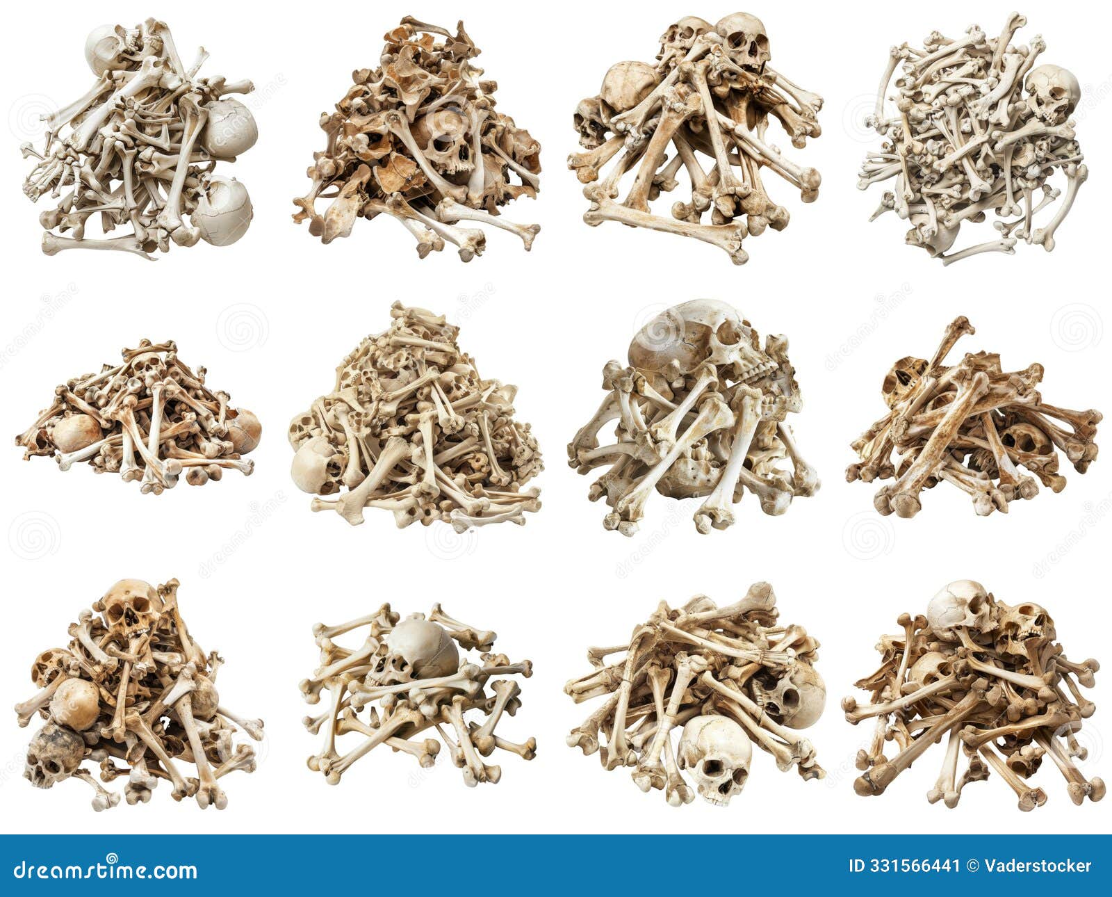 Multiple Piles of Human Skulls and Bones Stock Image - Illustration of ...