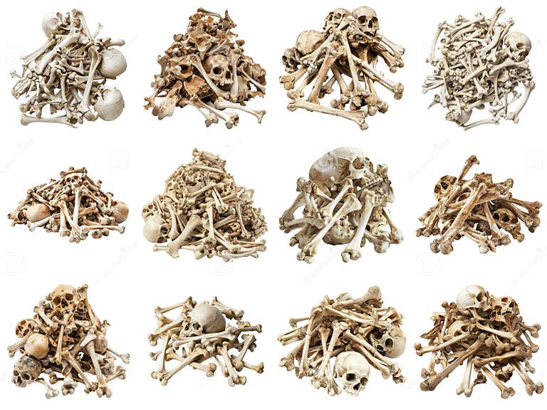 Multiple Piles of Human Skulls and Bones Stock Image - Illustration of ...