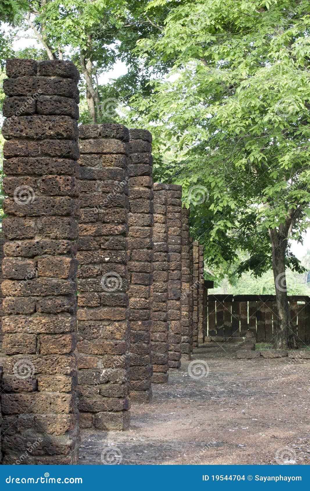 Multiple poles along tree. stock photo. Image of europe - 19544704