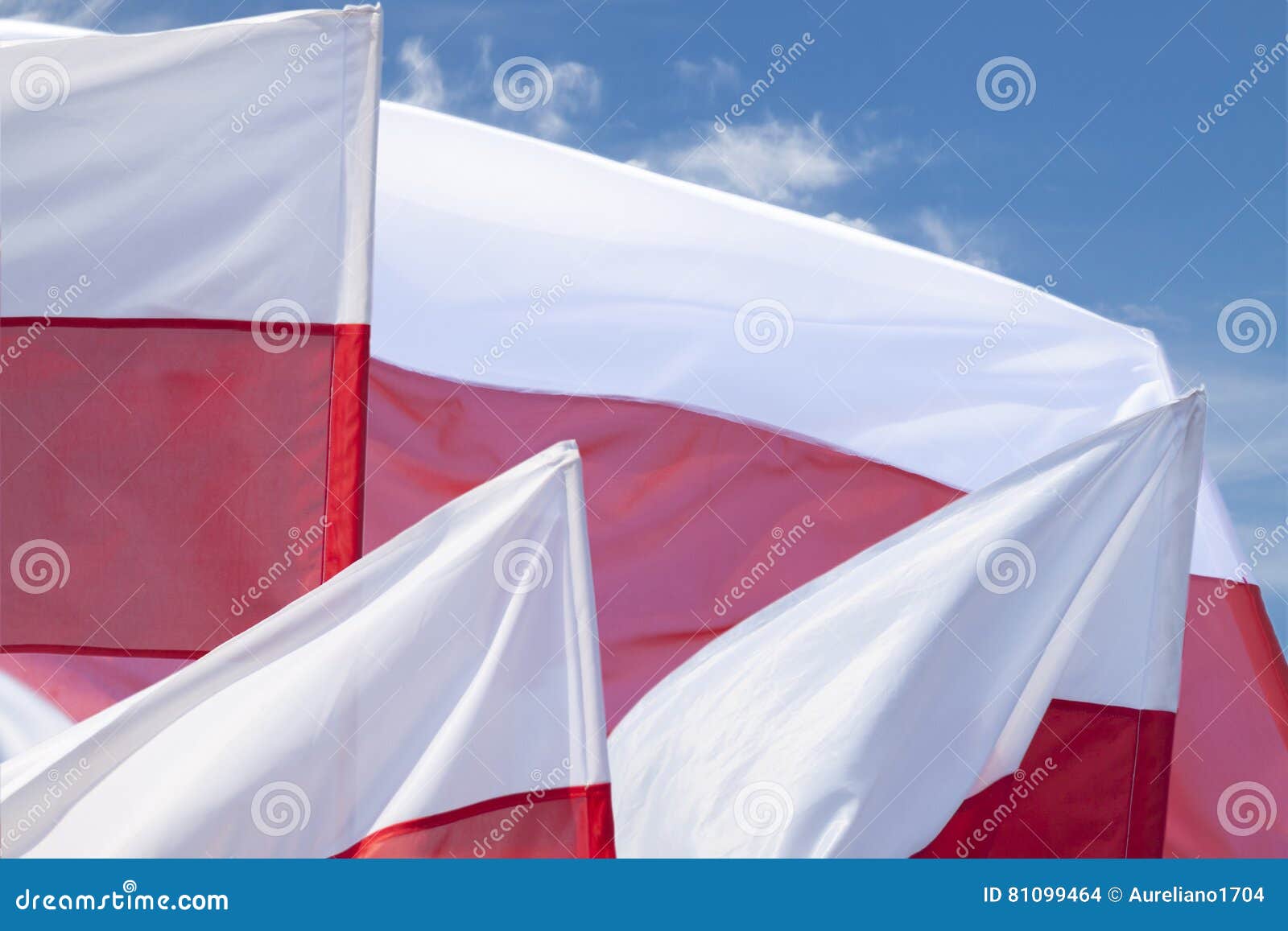 Multiple Polish Flags Flying Against the Sky Stock Photo - Image of ...