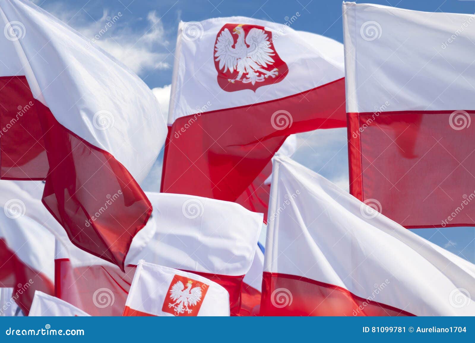 Multiple Polish Flags Flying Against the Sky Stock Image - Image of ...