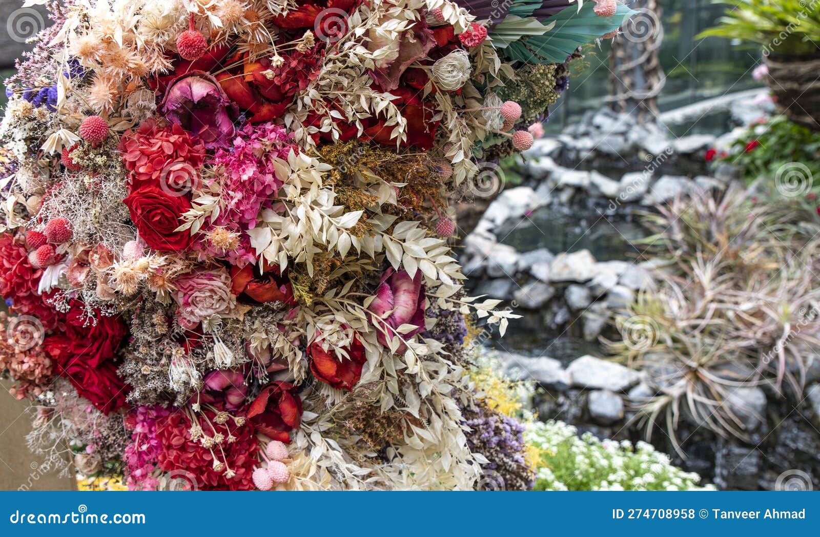 Multiple Red Flowers and Dried Grass Collage Making a Background Stock ...