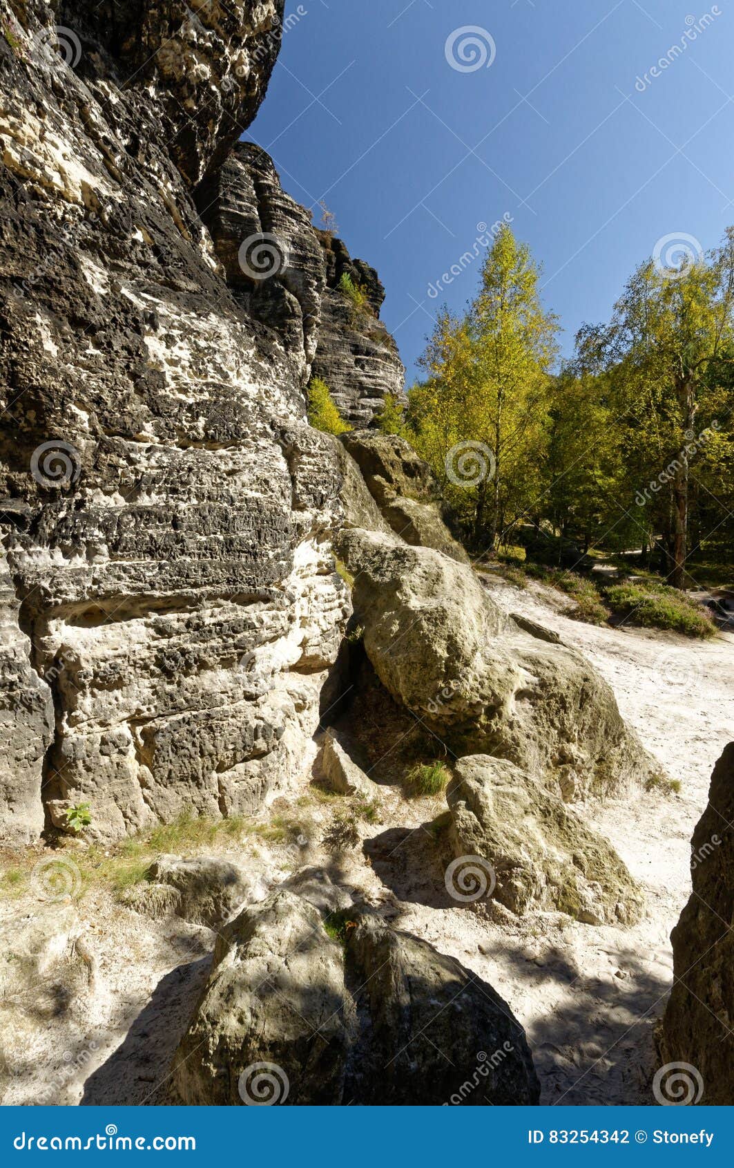 Multiple Rock Formations with Varioud Trees on the Side Stock Photo ...