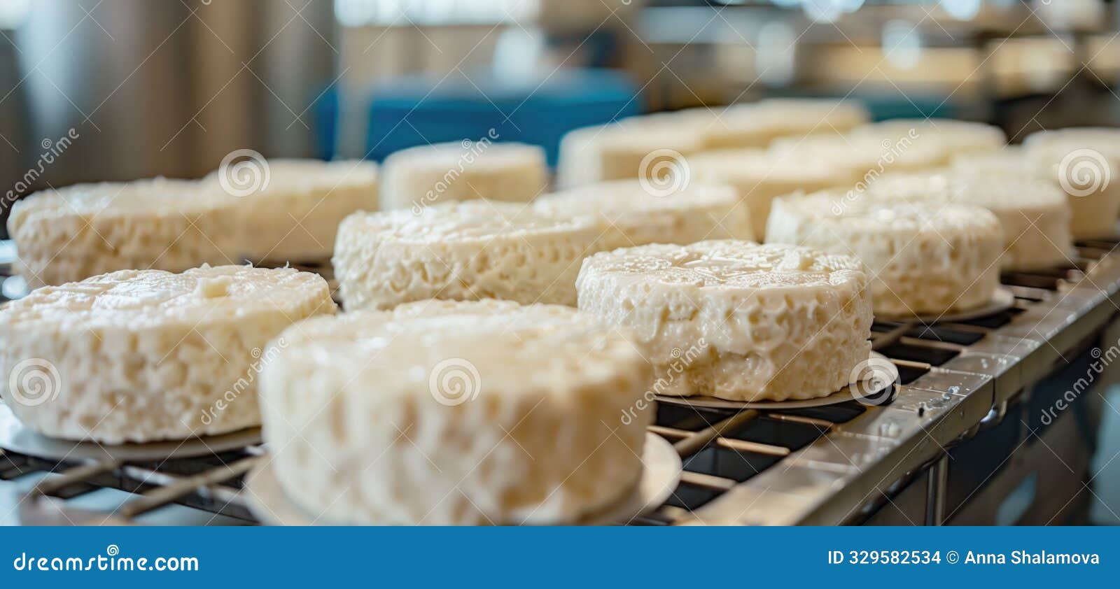Multiple Rounds of Fresh Goat Cheese Aging on Metal Racks in a Cheese ...