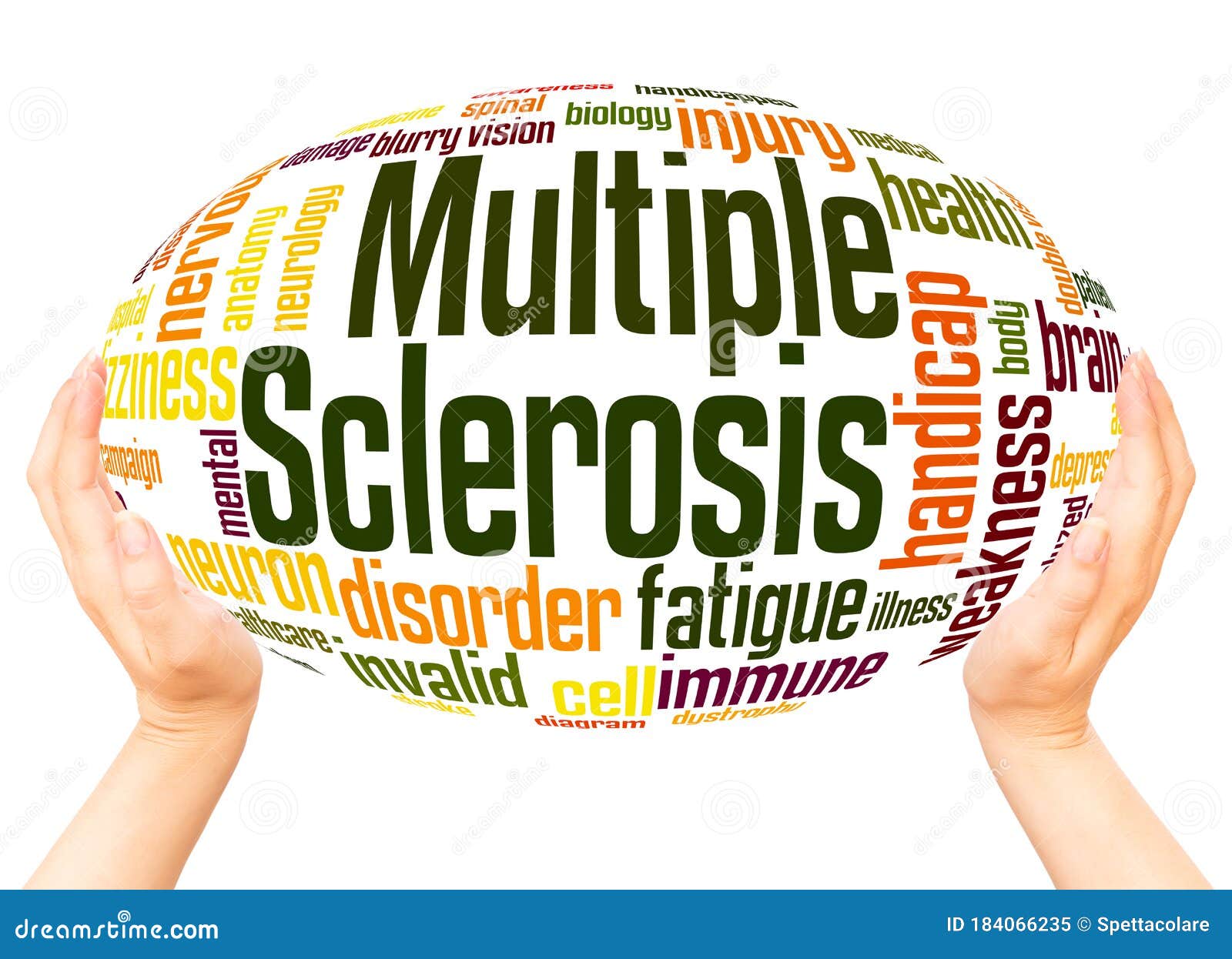 Multiple Sclerosis Word Hand Sphere Cloud Concept Stock Image - Image ...