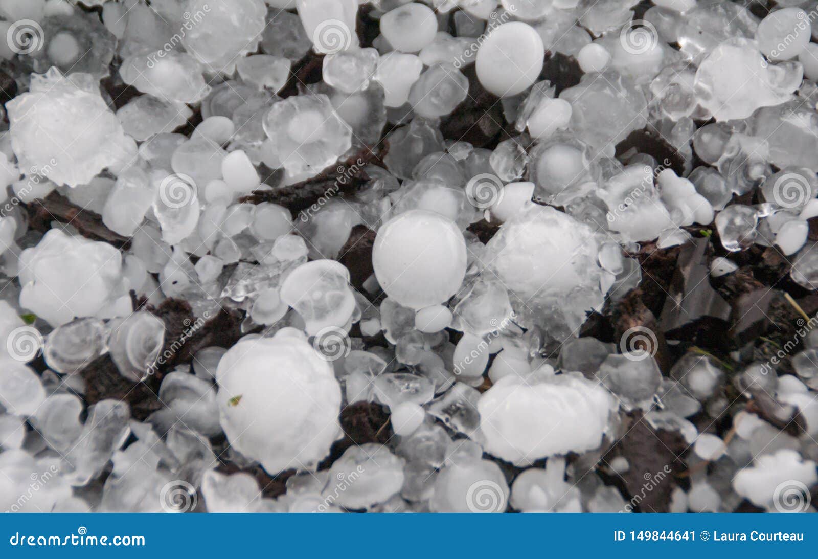 Multiple Sizes of Hailstones on Ground Stock Image - Image of summer ...