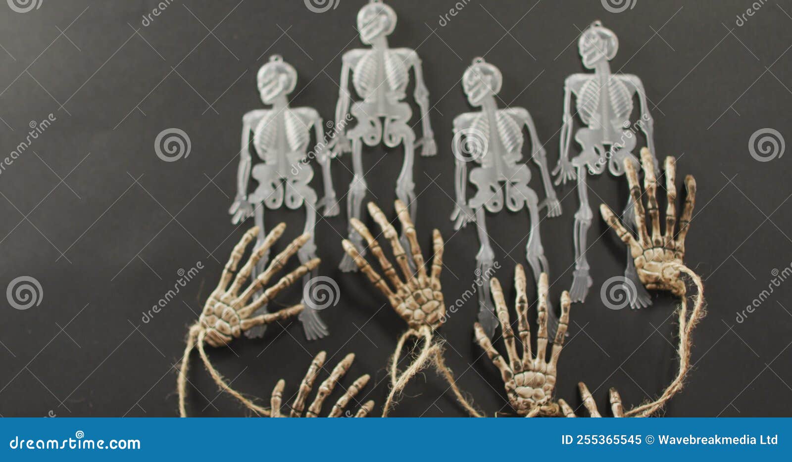 Multiple Skeleton Toys and Skeleton Hands with Copy Space on Grey ...