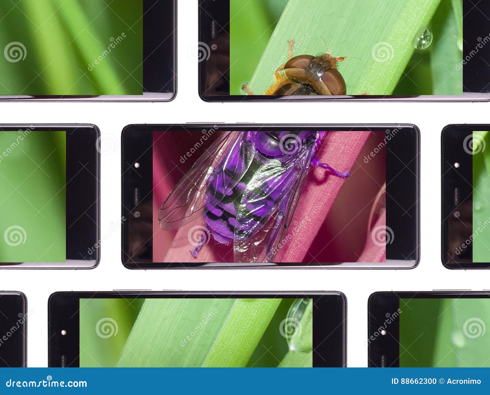 Multiple smartphone screen stock photo. Image of sceen - 88662300