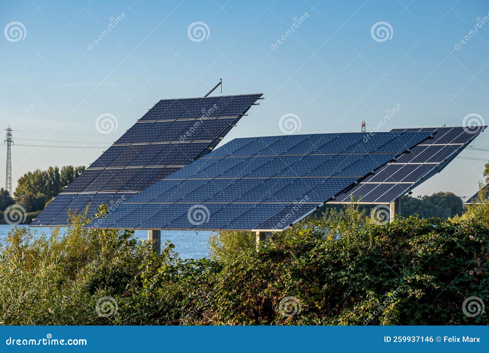 Multiple solar panels stock photo. Image of panel, energy - 259937146