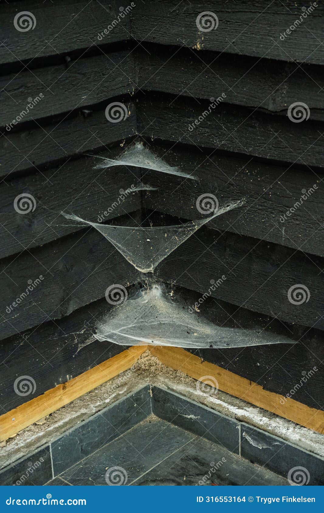 Multiple Spiders Web in a Corner by Black Walls.. Stock Photo - Image ...