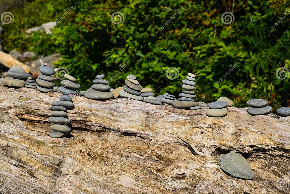 Multiple Stacks of Rocks on a Log Stock Photo - Image of rocks ...