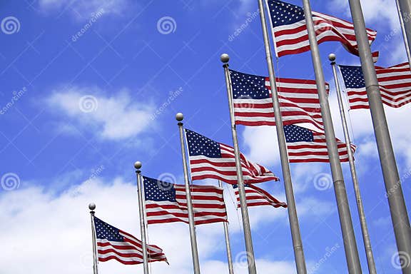 Multiple US flags stock photo. Image of united, veterans - 1589556