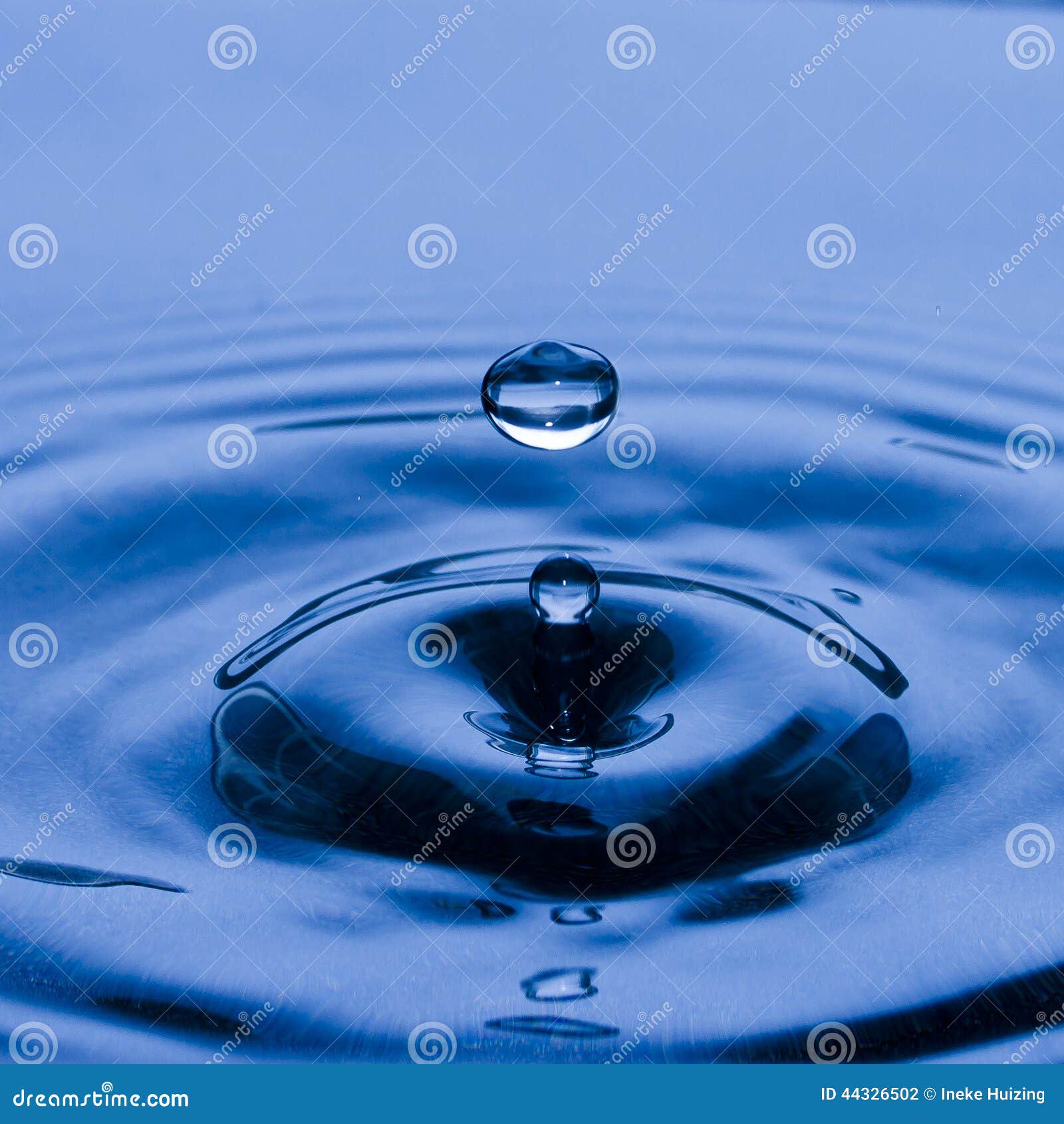 Multiple Water drops stock photo. Image of rain, drops - 44326502