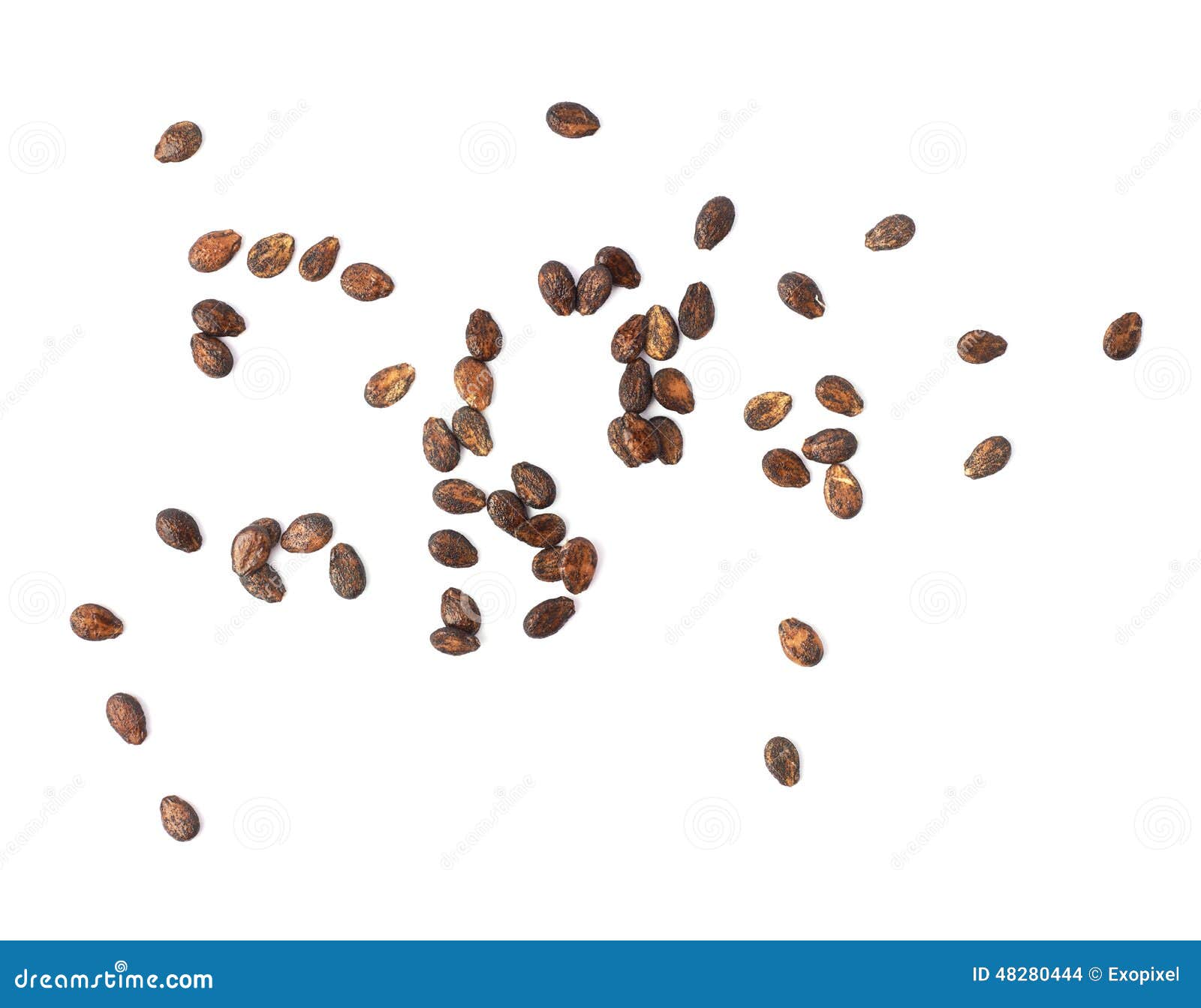 Multiple Watermelon Seeds Isolated Stock Photo - Image of nourishment ...