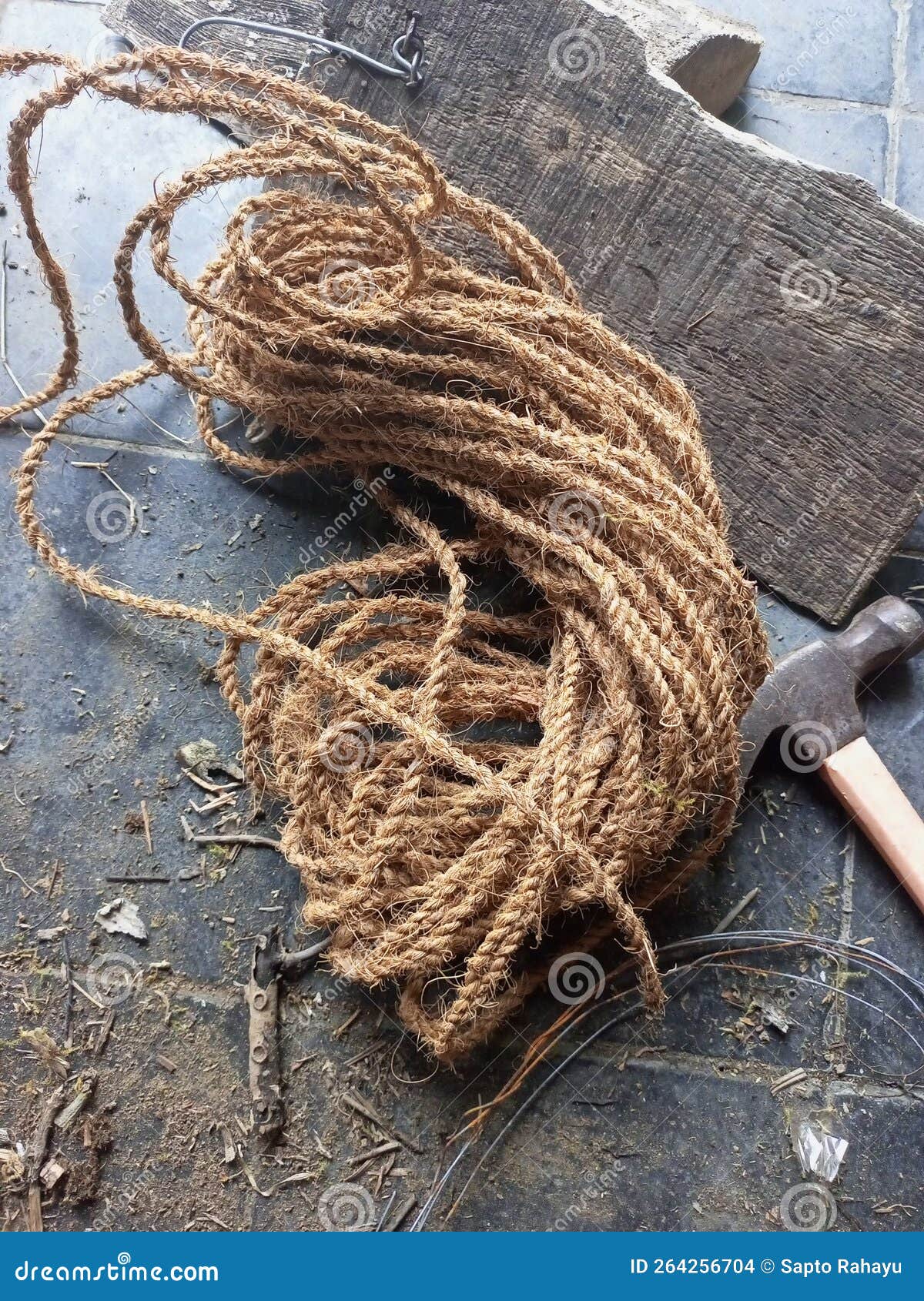 Multipurpose rope stock photo. Image of coconut, multipurpose - 264256704