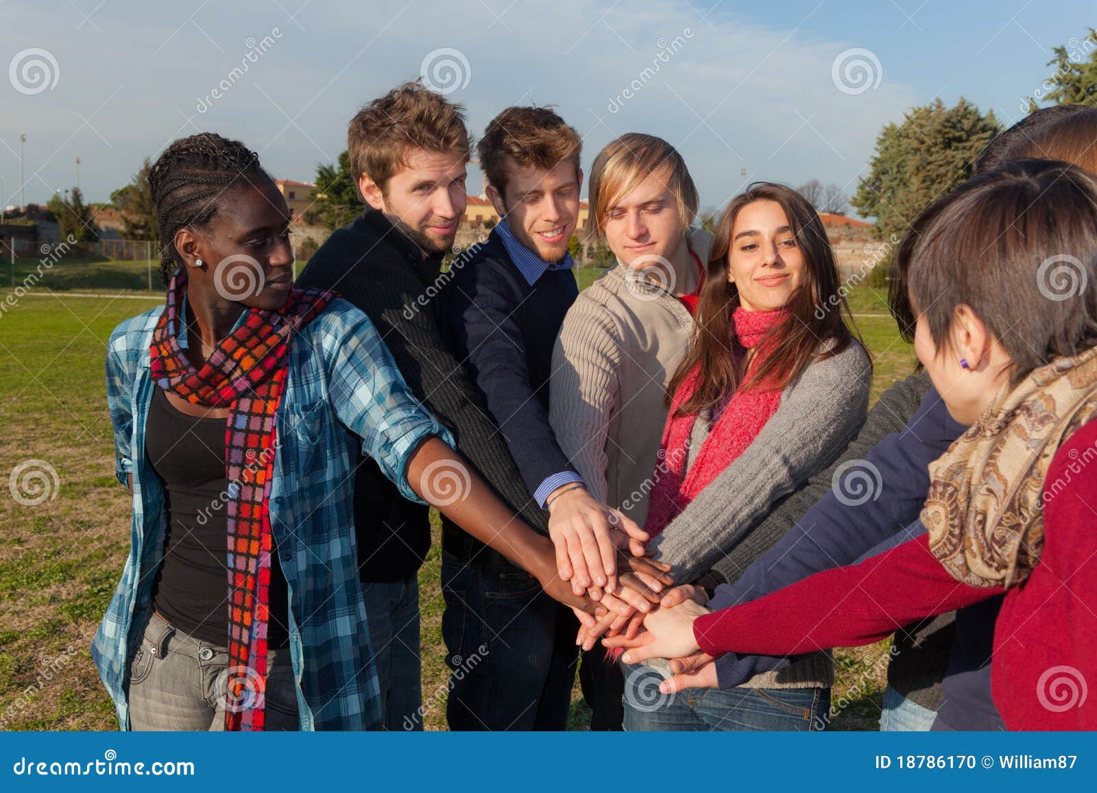 Multiracial Hands stock photo. Image of friendship, adult - 18786170