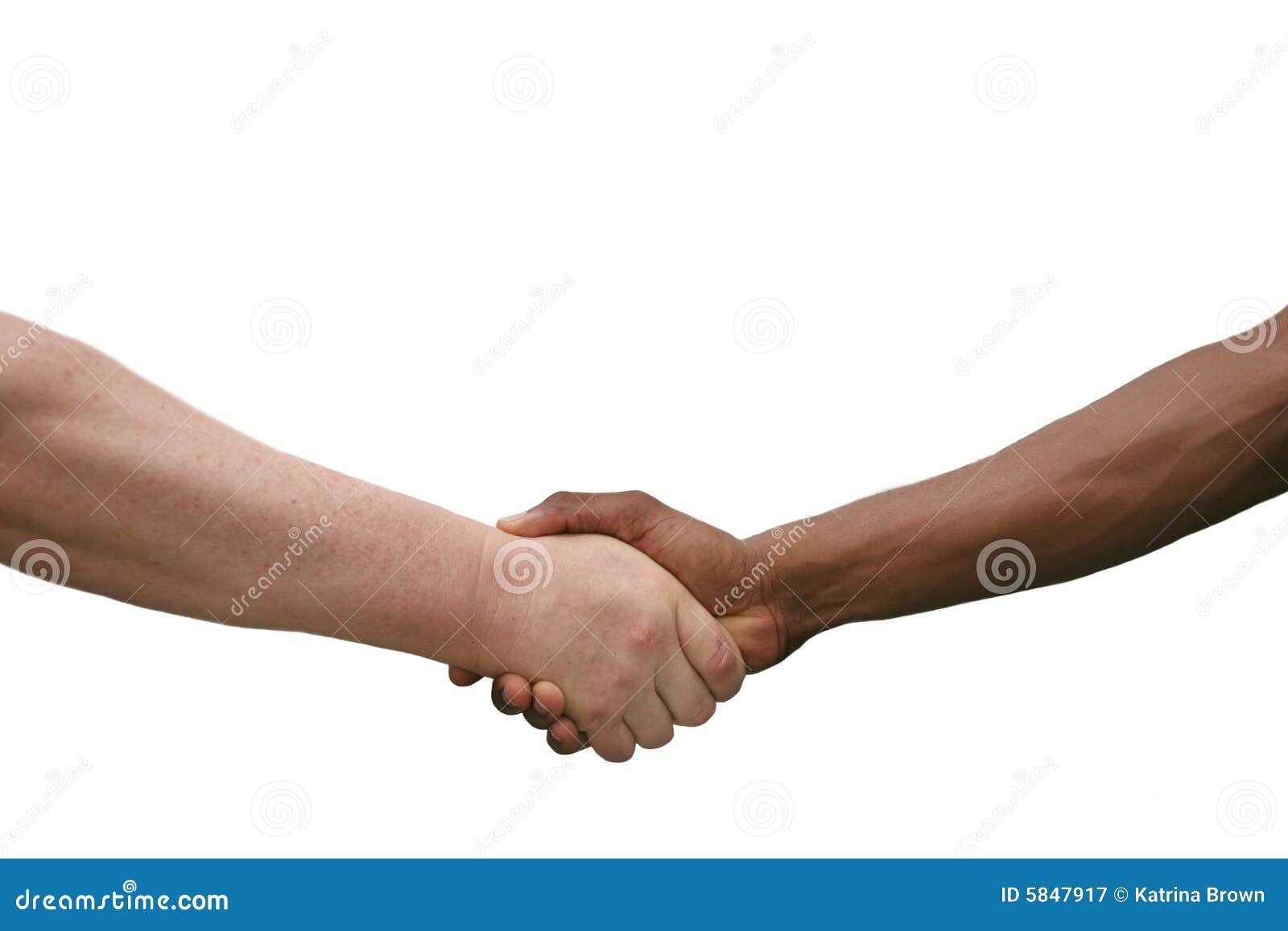 Multiracial Handshake Isolated on White Stock Image - Image of ...