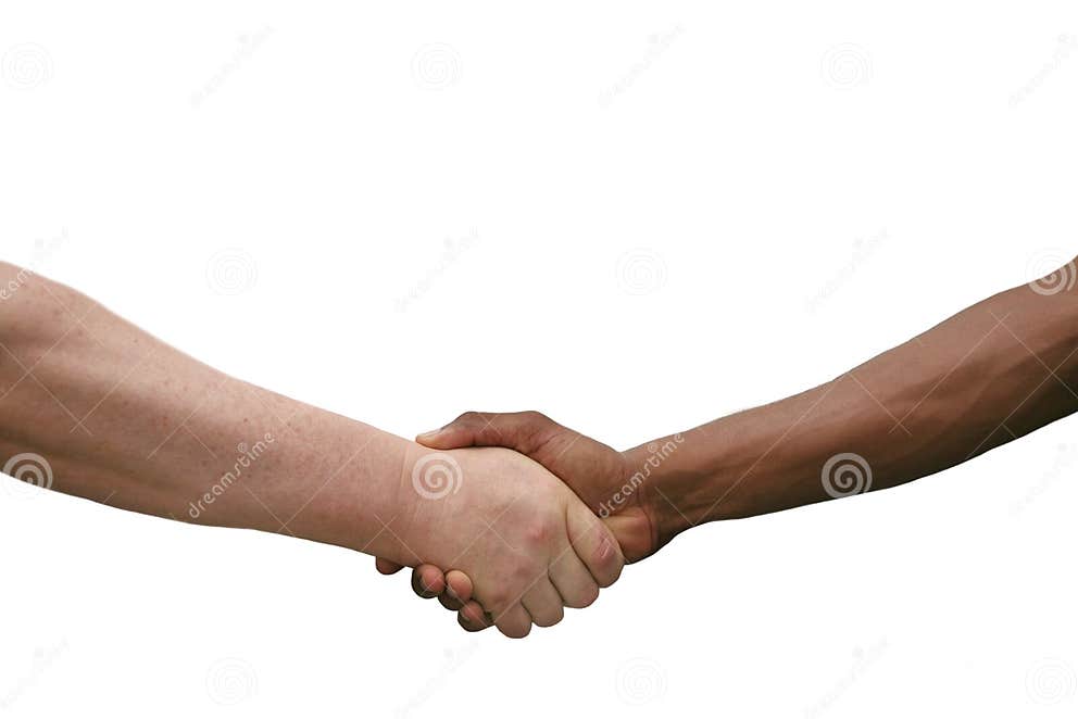 Multiracial Handshake Isolated on White Stock Image - Image of ...