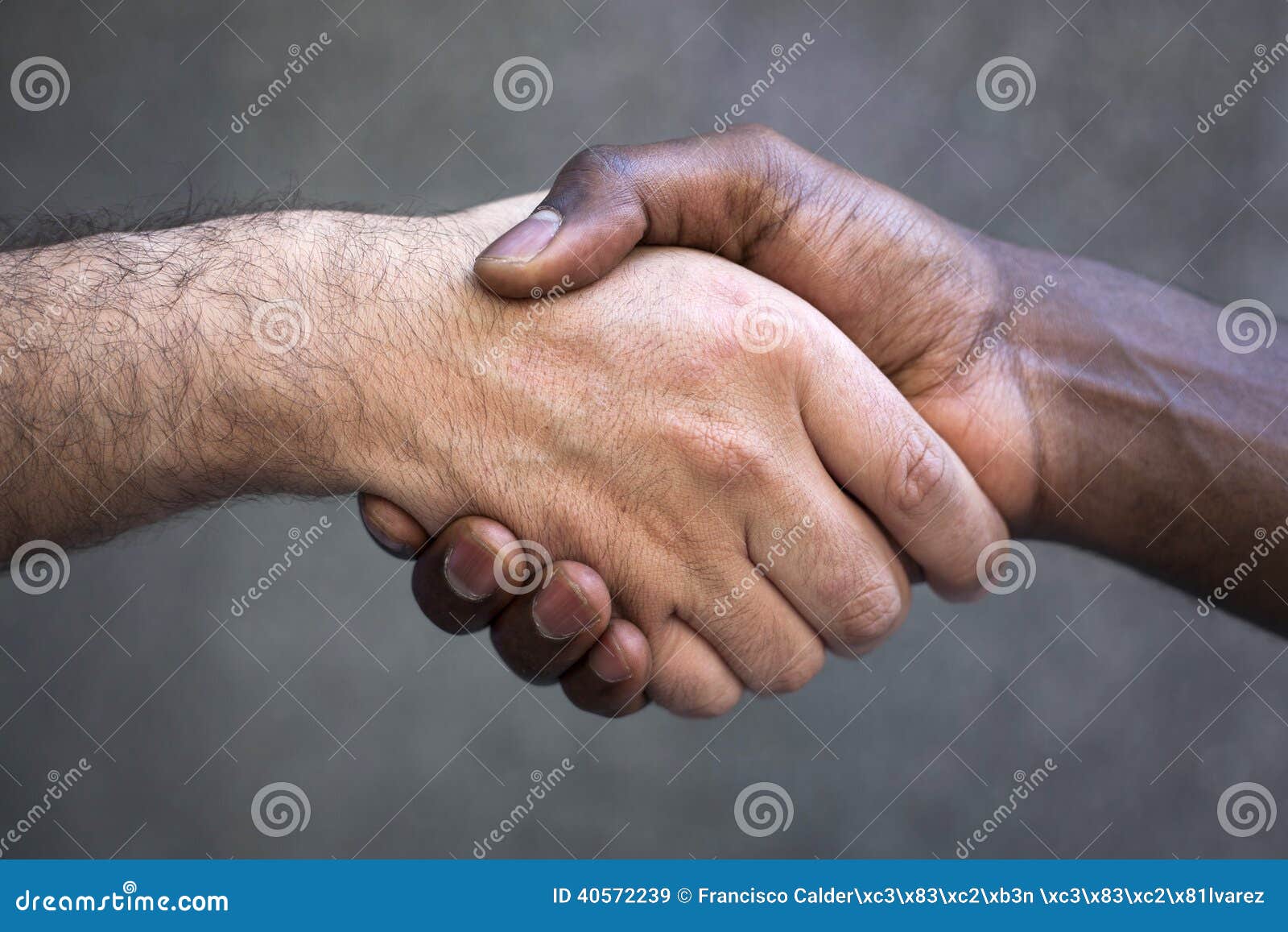 Multiracial handshake. stock image. Image of handshake - 40572239