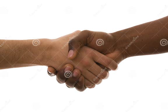 Multirracial handshake stock photo. Image of ethnic, people - 8076908