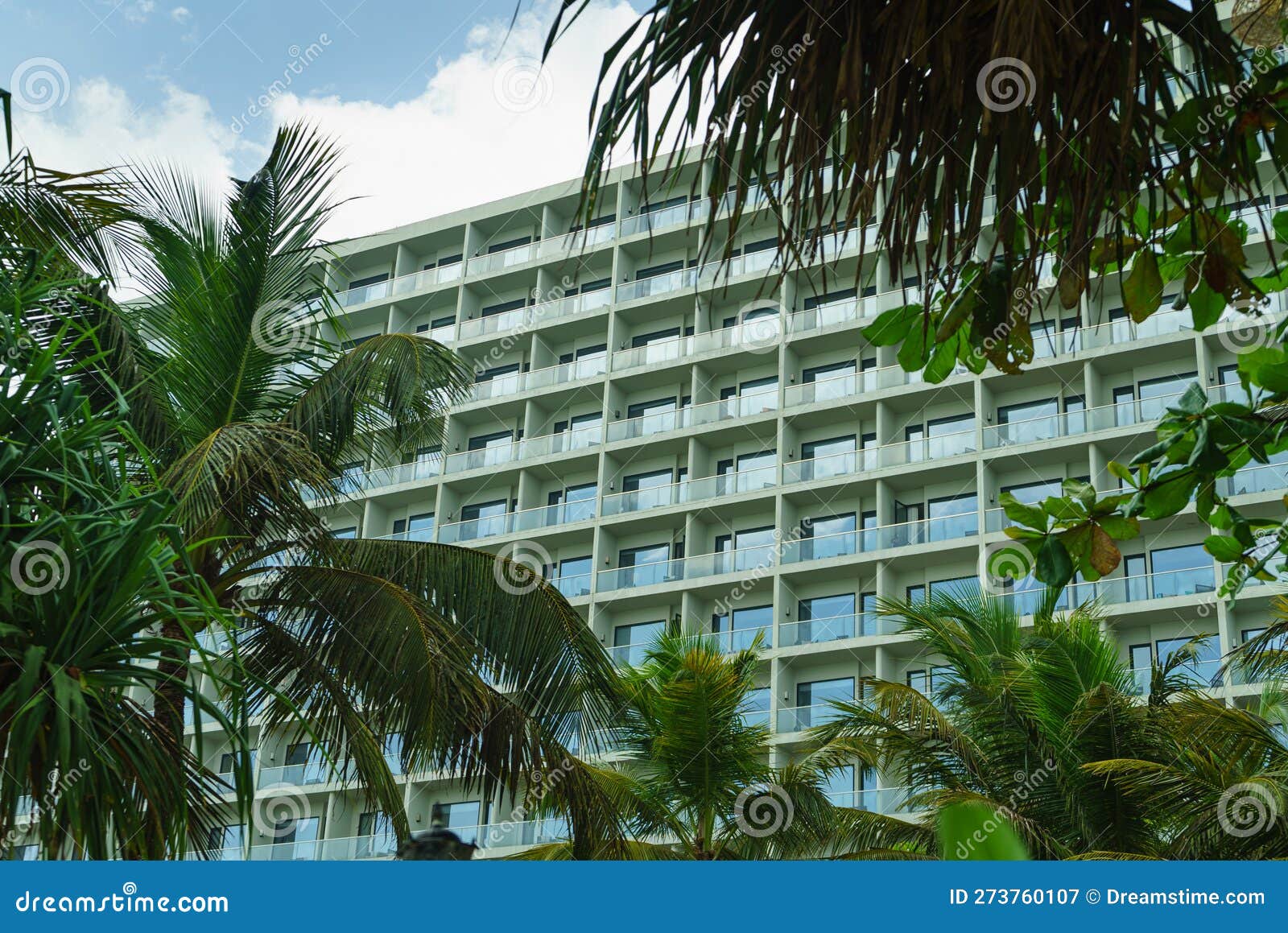 A Multistory Hotel Building among Palm Trees Stock Image - Image of ...
